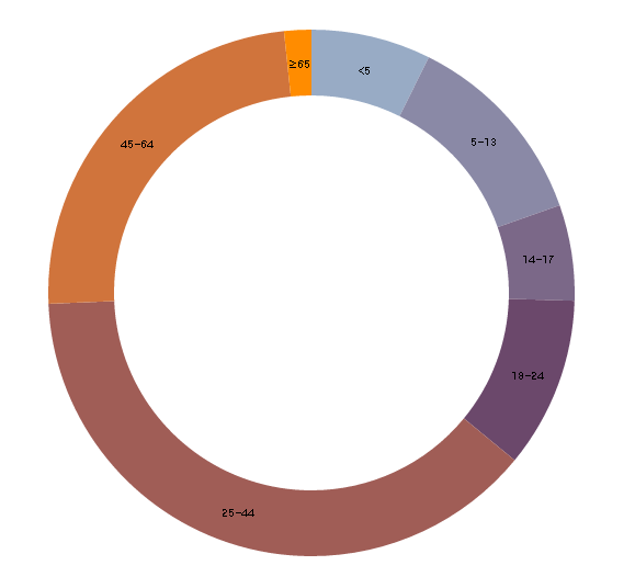 Chart Sample Made through Using Graphic Component and D3